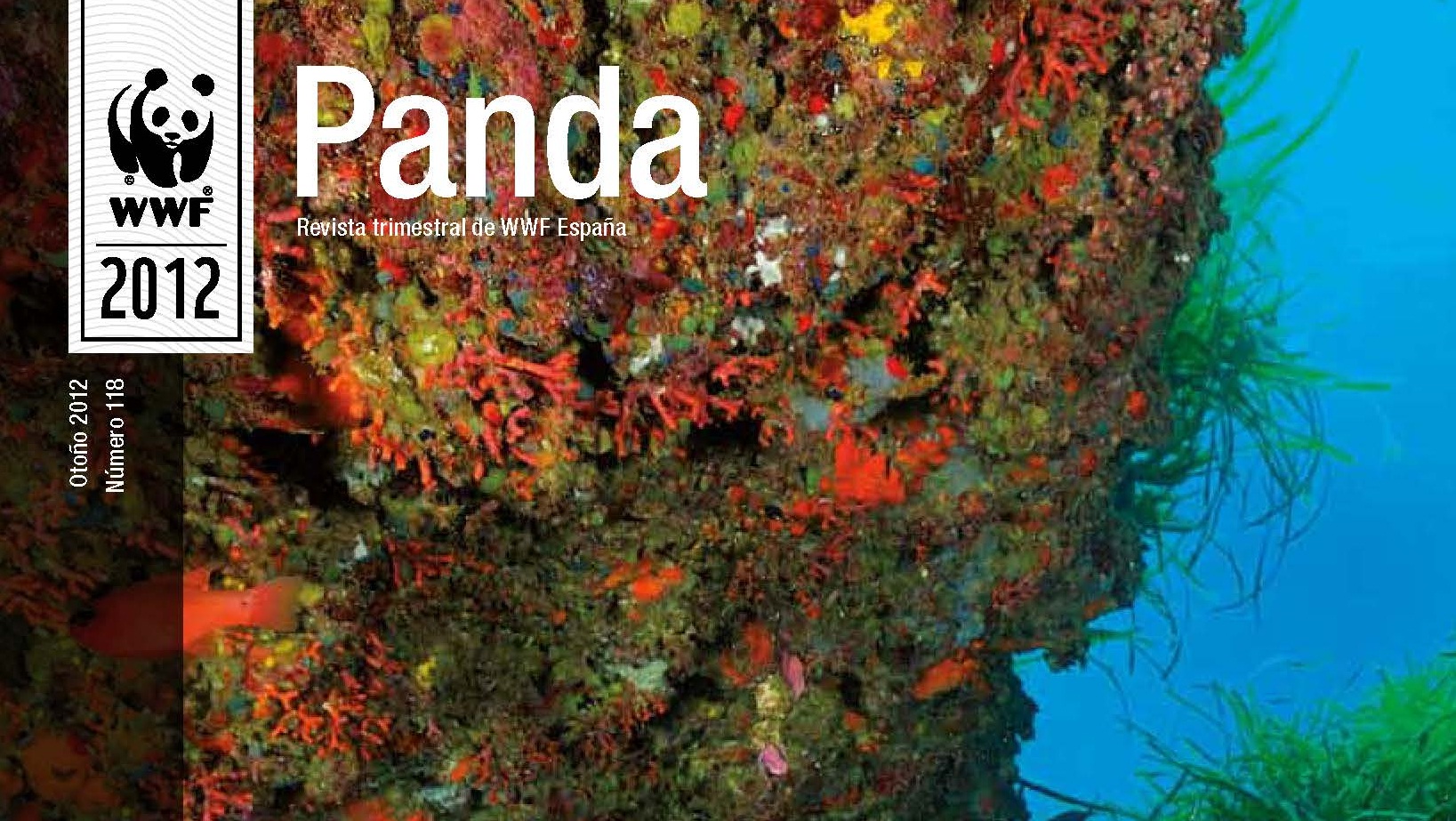 FSC en la Revista Panda de WWF | FSC España