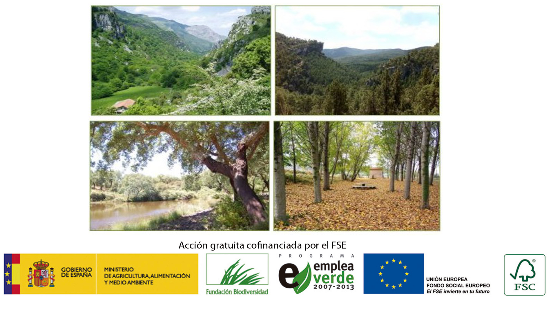 FSC España publica el estudio: La certificación FSC en España y su ...